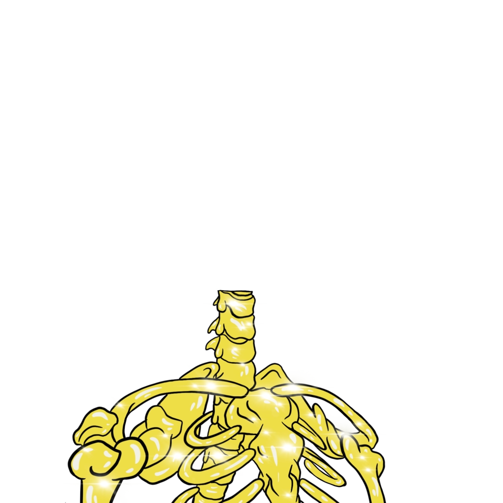 Tomb Gallery | Build a custom Skeleton, Search for a Skeleton, or ...